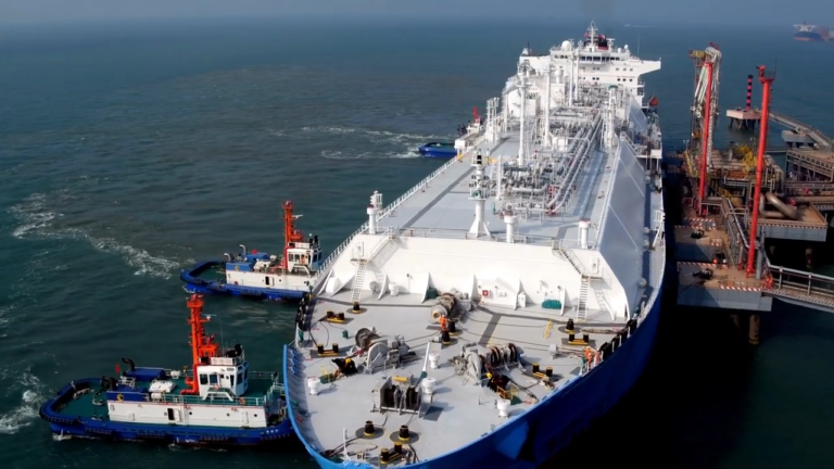 How Much Fuel Does a Cruise Ship Use Per Day? - Sea Streak USA